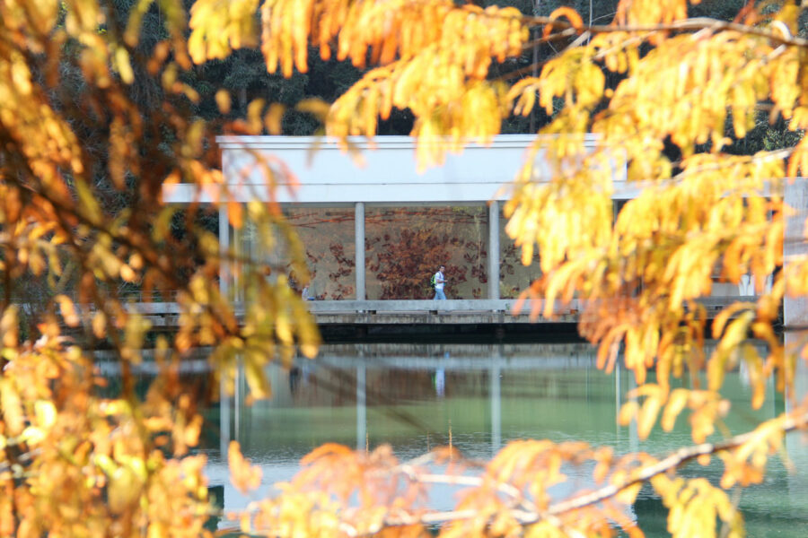 Roteiro Inhotim - um parque, museu e jardim de sensações