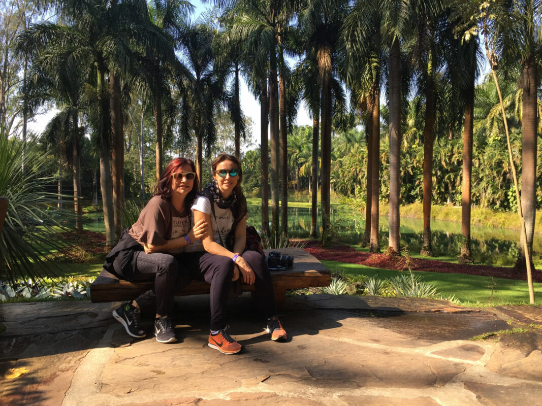 Roteiro Inhotim - um parque, museu e jardim de sensações