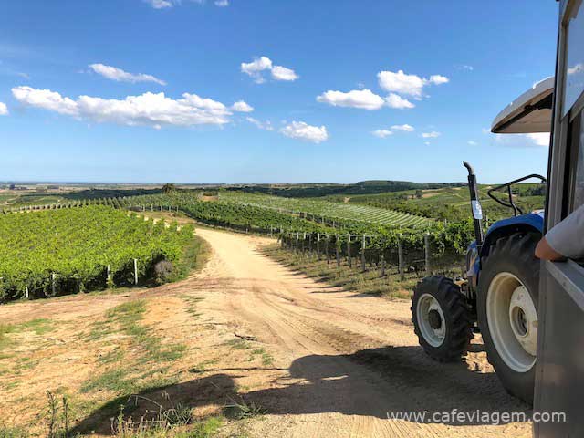 Visita à Bodega Garzón - a vinícola mais impressionante do Uruguai