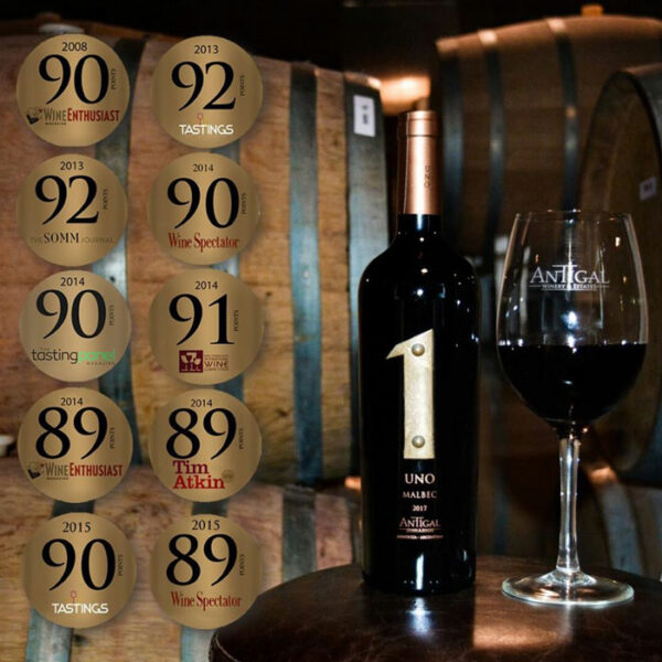 9 vinhos Malbec argentinos que você precisa conhecer