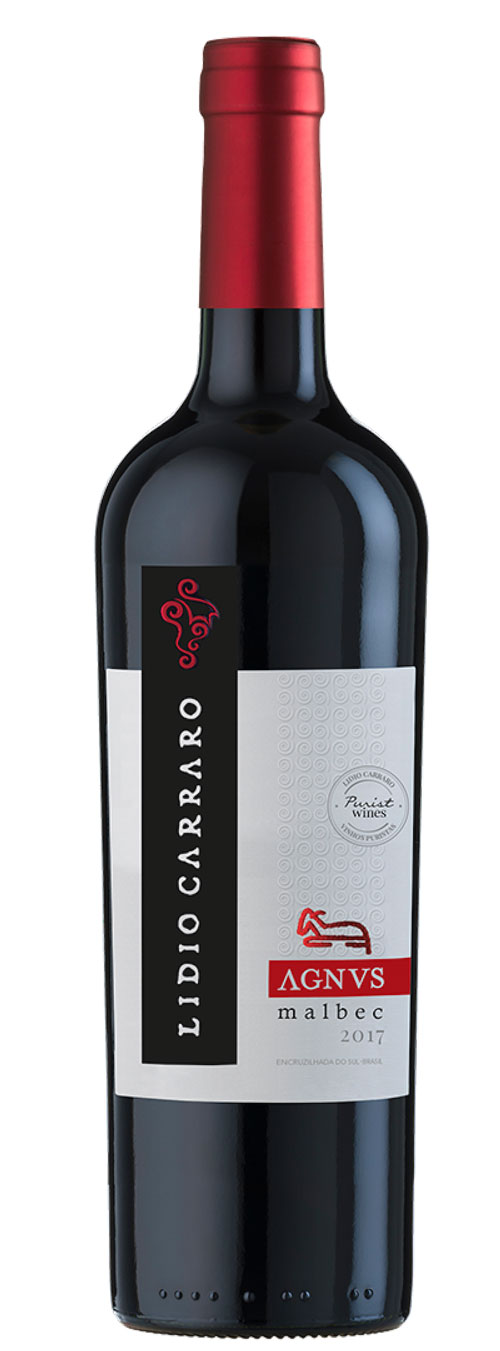 8 dicas de vinhos Malbec brasileiros para comemorar Malbec World Day
