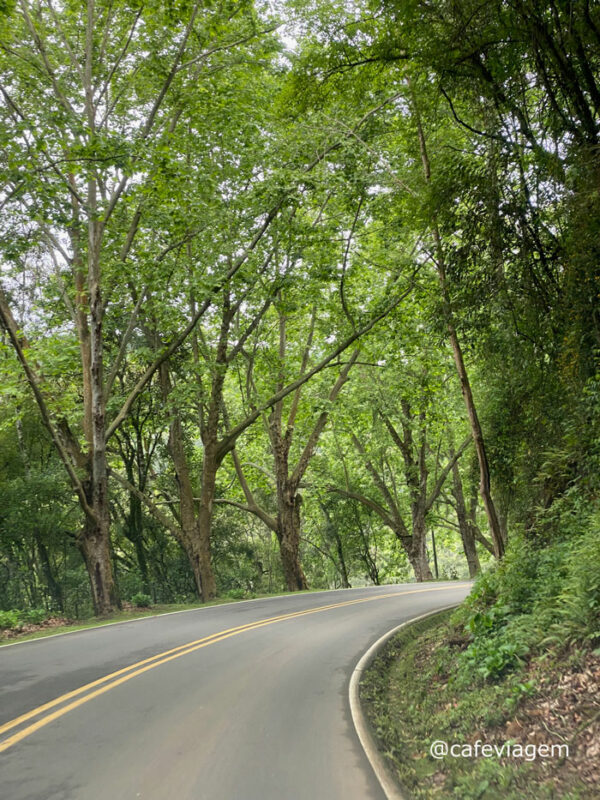 O que fazer em Guaporé RS: um dia Nutela e outro Raiz
